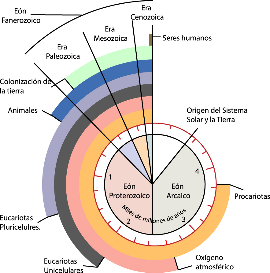 Actividad 1