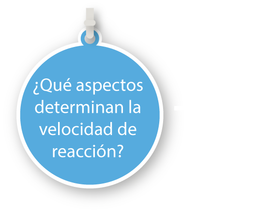 Actividad 1